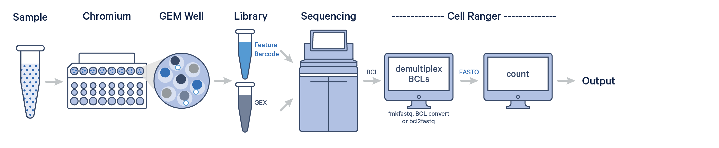 What Is Cell Ranger Official 10x Genomics Support What Is Cell Ranger Official 10x Genomics Support